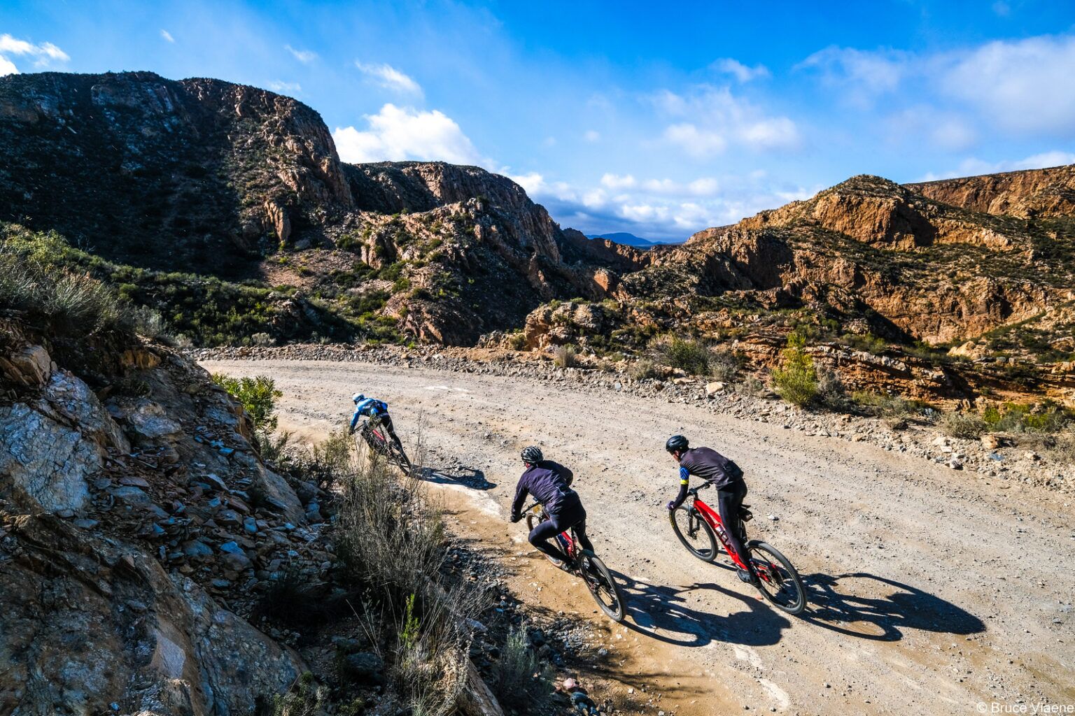 Insect Science Better Their Own Trans Baviaans Field Course Record | Mtbapp